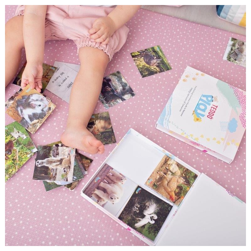 Cartes d'apprentissages Les animaux et leurs petits en langue Anglaise